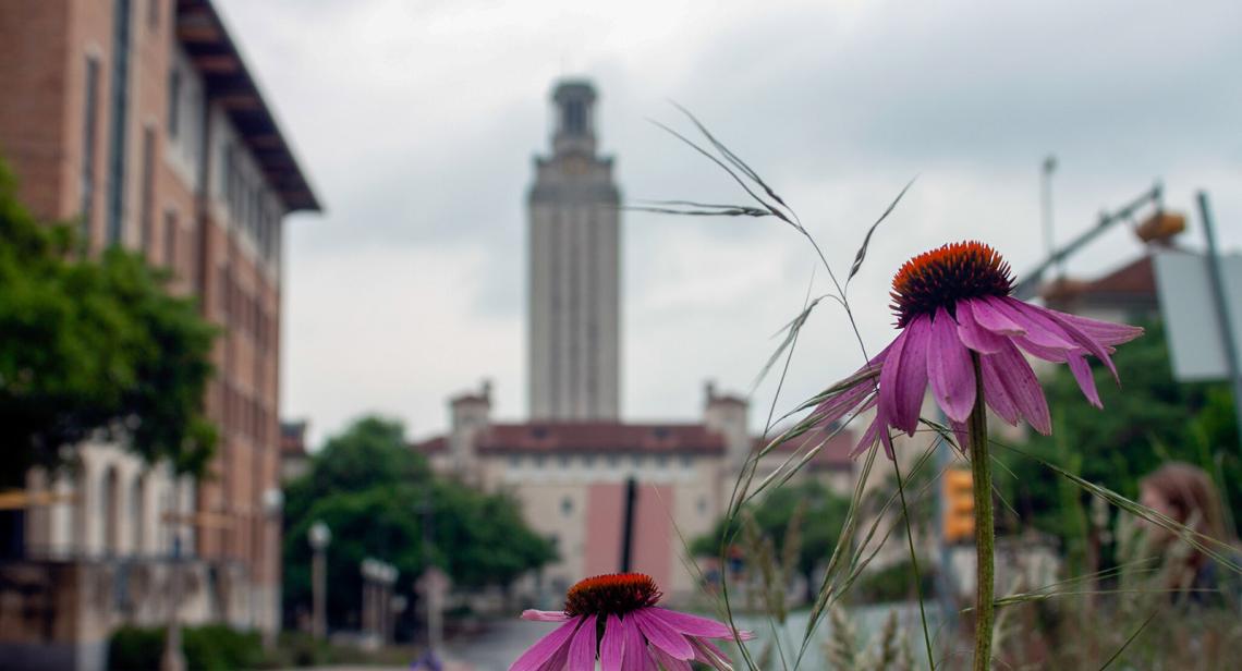 What sustainability looks like at UT | Campus Operations